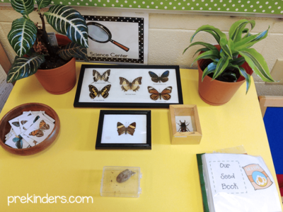 Bugs Science Center - PreKinders Preschool Activities