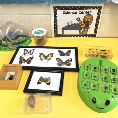 Bugs Science Center - PreKinders Preschool Activities