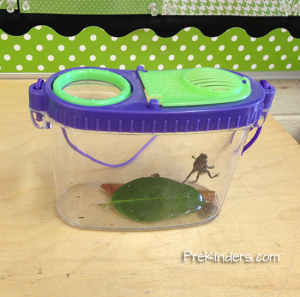 Bugs Science Center - PreKinders Preschool Activities