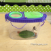 Bugs Science Center - PreKinders Preschool Activities