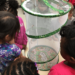 Bugs Science Center - PreKinders Preschool Activities