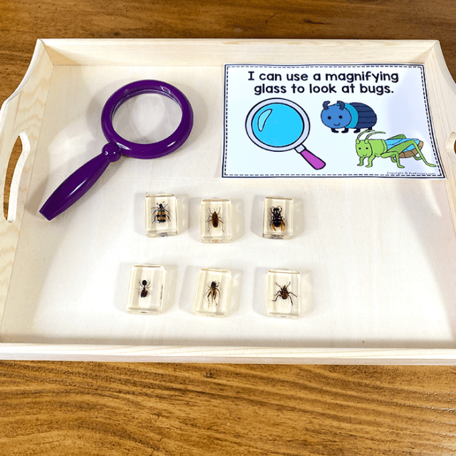 Bugs Science Center - PreKinders Preschool Activities