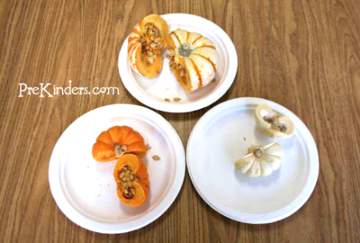 Fall Science with Pumpkins and Gourds, Pre-K, Preschool - PreKinders ...