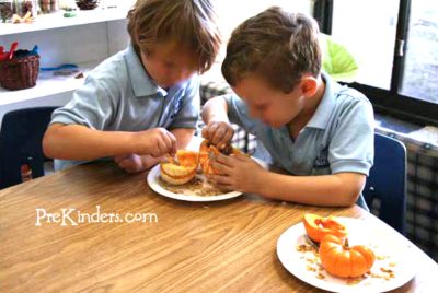 Fall Science with Pumpkins and Gourds, Pre-K, Preschool - PreKinders ...