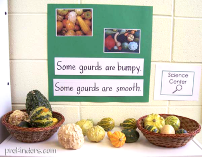 Fall Science with Pumpkins and Gourds, Pre-K, Preschool - PreKinders ...