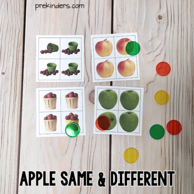 Apple Visual Discrimination Printables: Matching, Same Different ...