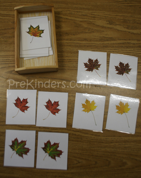 Leaf Matching - PreKinders