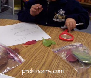 Drawing with Preschool Children - PreKinders Preschool Activities