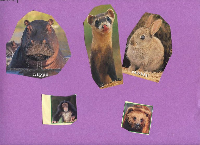 Pre-K Fine Motor Portfolios - PreKinders Preschool Activities