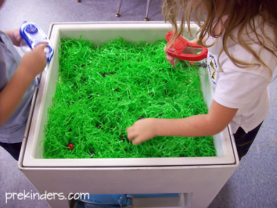 Bugs in the Sensory Table - PreKinders Preschool Activities