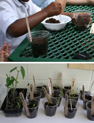 Pre-K Farm Theme Activities and Ideas - PreKinders Preschool Activities
