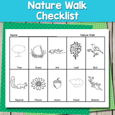 Forest Theme Activities for Pre-K & Preschool Kids