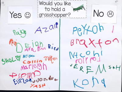 Bugs Theme - PreKinders Preschool Activities