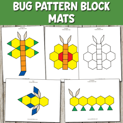 Bugs Theme - PreKinders Preschool Activities