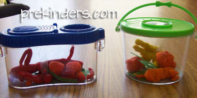 Bugs Theme - PreKinders Preschool Activities