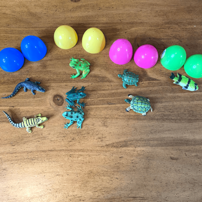 Pond Life Theme - PreKinders Preschool Activities