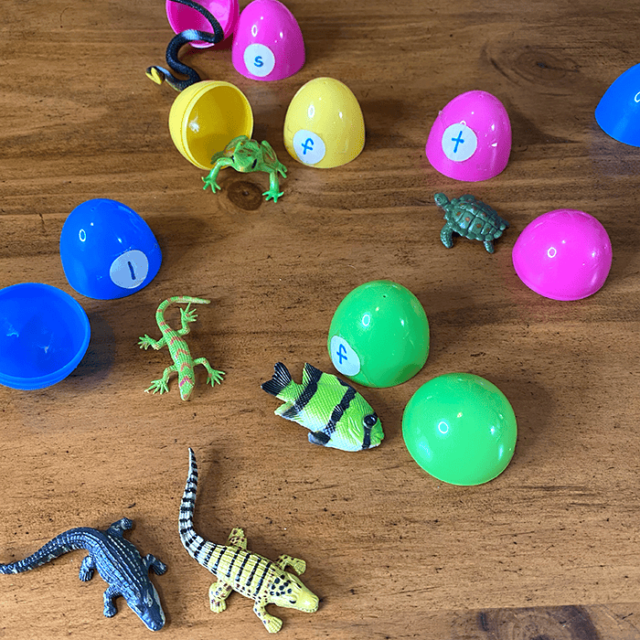 Pond Life Theme - PreKinders Preschool Activities