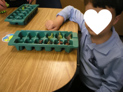 Pond Life Theme - PreKinders Preschool Activities