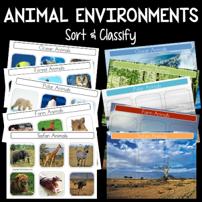 Safari Theme - PreKinders Preschool Activities