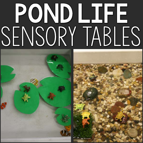 Pond Life Sensory Table - PreKinders Pond Life Sensory Table - PreKinders