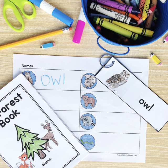 Forest Picture Word Cards - PreKinders Preschool Activities