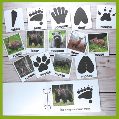 Animal Tracks Printable Book & Matching Cards for Preschool, Pre-K Kids