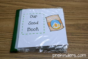 Make a Seed Book for the Science Center - PreKinders Preschool Activities