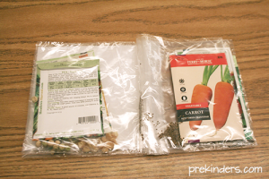 Make a Seed Book for the Science Center - PreKinders Preschool Activities