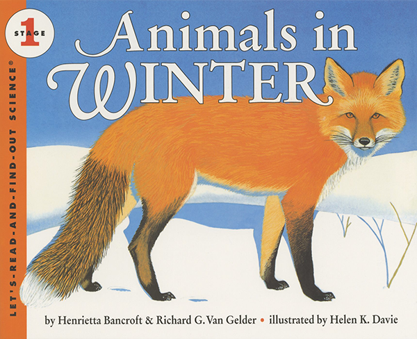Books About Winter for Pre-K - PreKinders Preschool Activities