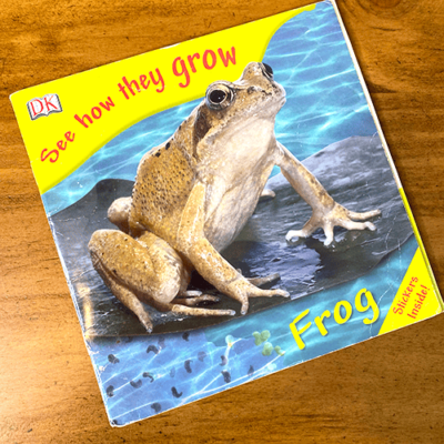 Books About Pond Animals for Pre-K - PreKinders Preschool Activities
