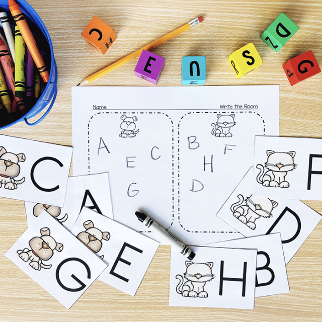 Pet Picture-Word Cards - PreKinders Preschool Activities