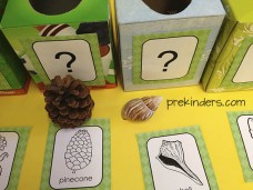 Teach with Trash: Tissue Box Science - PreKinders Preschool Activities
