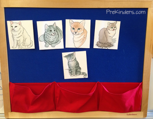 15 Fabulous Fingerplays and Facts - PreKinders Preschool Activities