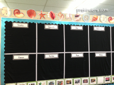 Beach Classroom Decor - PreKinders Preschool Activities