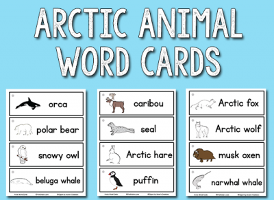 Arctic Animal Picture-Word Cards - PreKinders Preschool Activities