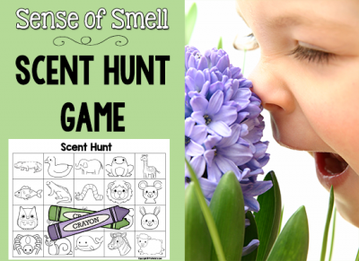 5 Senses: Scent Hunt Game - PreKinders