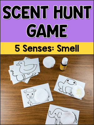 5 Senses: Scent Hunt Game - PreKinders