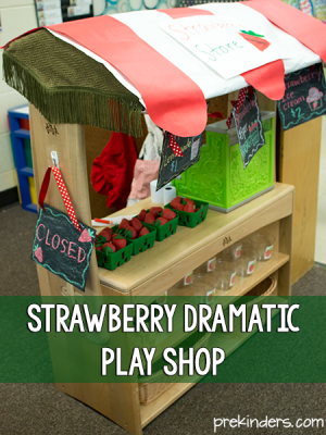 Strawberry Dramatic Play Shop - PreKinders