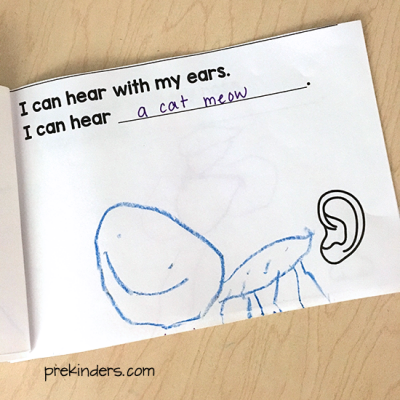 Five Senses Printable Book - PreKinders Preschool Activities