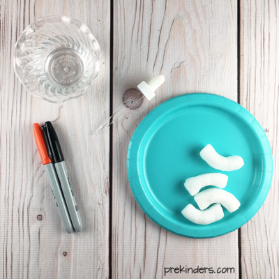 Melting Snowman Science Experiment: Safe & Easy for Pre-K Kids!