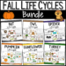 Tree & Leaf Science Activities, Tree Life Cycle for Preschool, Pre-K ...