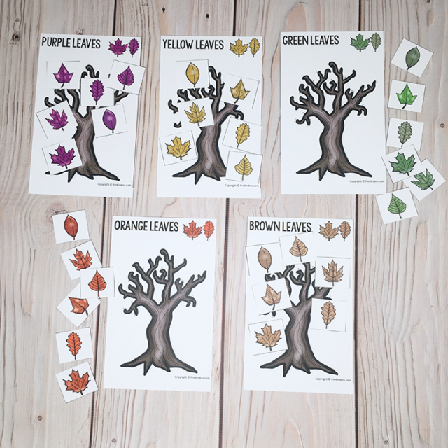 Forest Theme Math & Literacy Printables - PreKinders Preschool Activities