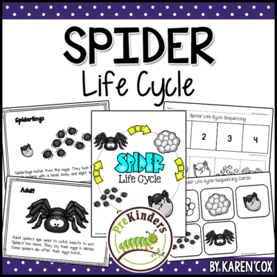 Preschool Spider Activities, Art, Math, Literacy - PreKinders Preschool ...