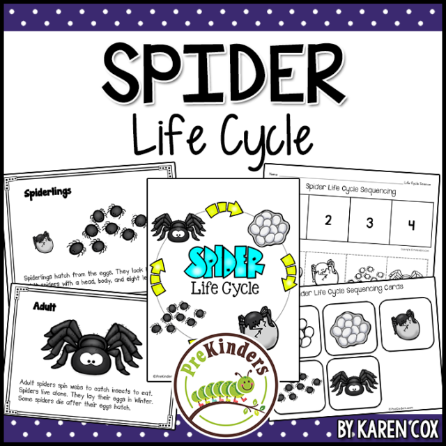 Preschool Spider Activities, Art, Math, Literacy - PreKinders Preschool ...