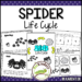 Preschool Spider Activities, Art, Math, Literacy - PreKinders Preschool ...