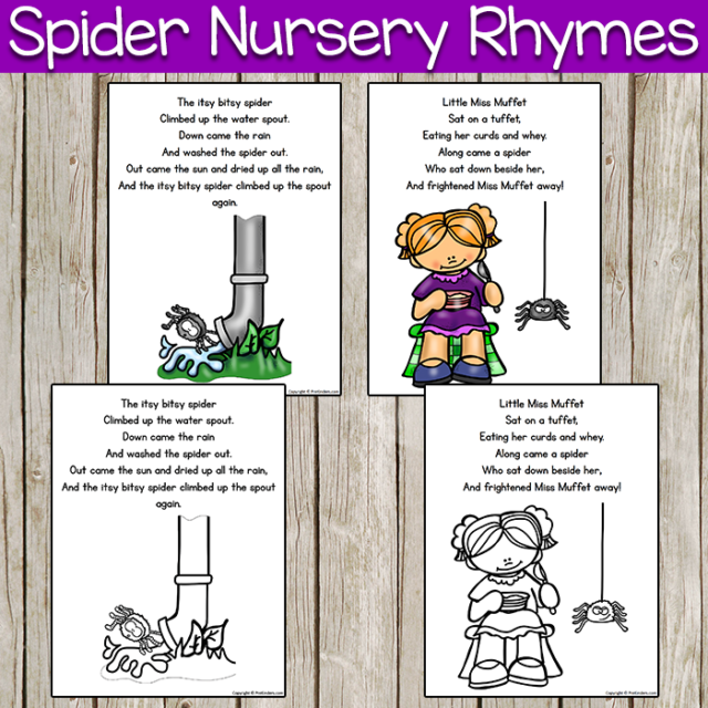 Preschool Spider Activities, Art, Math, Literacy - PreKinders Preschool ...