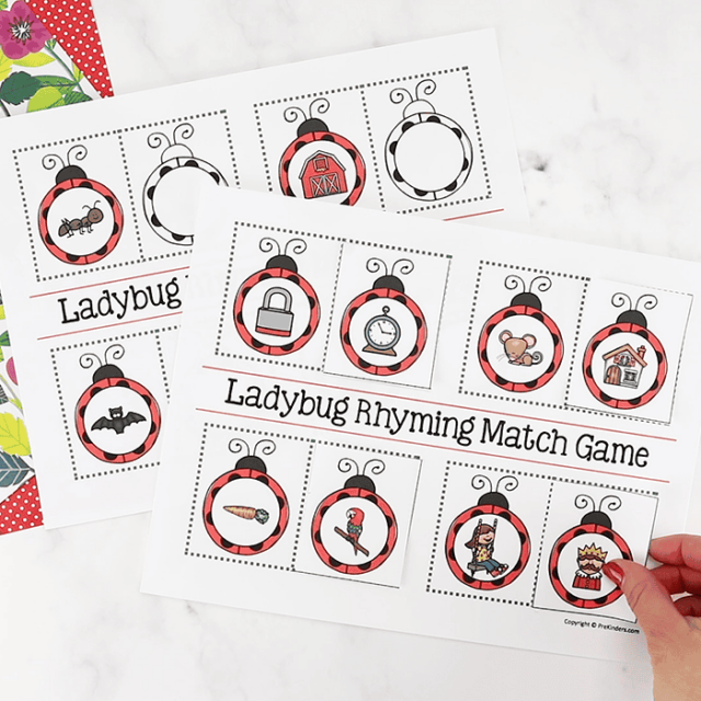 Bugs Theme - PreKinders Preschool Activities