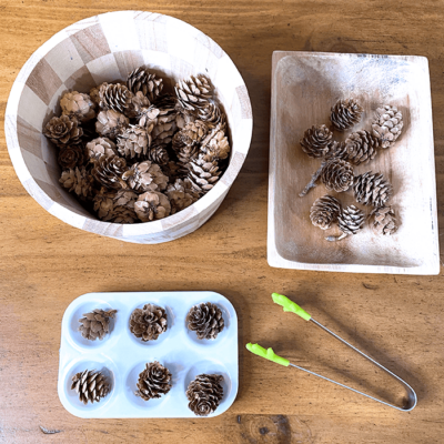 Forest Fine Motor Activities - PreKinders Preschool Activities