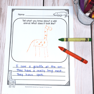 Wild Animal Safari Theme Literacy Activities for Centers and Small ...